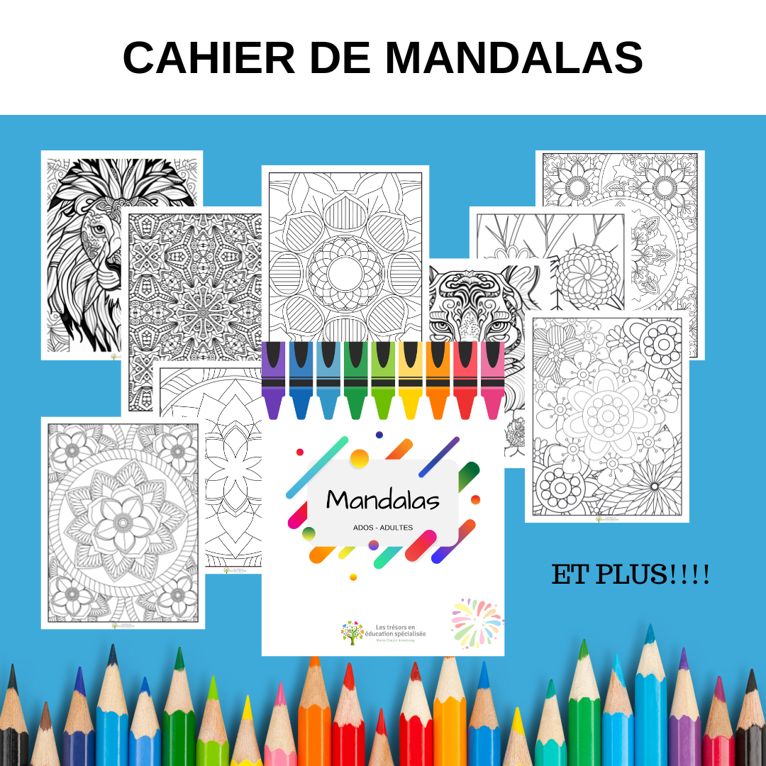 Cahier de mandalas - Ados et adultes – Les trésors en éducation spécialisée